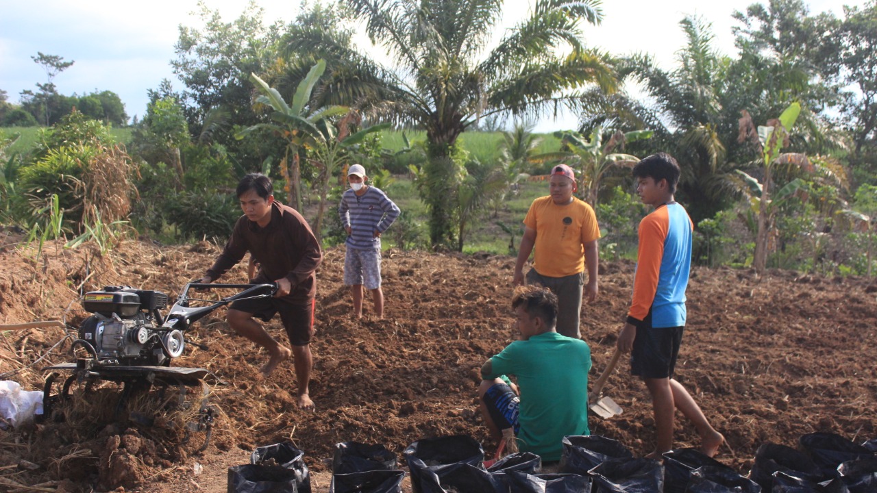 UKM Robotik UBL Menerapkan Pemanfaatan Teknologi Dalam Pengolahan ...